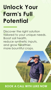 How to Build a Simple DIY Worm Farm Using an IBC - Re-Gen farming